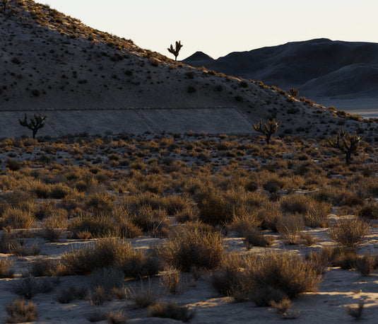 What is Project Gravitaur?