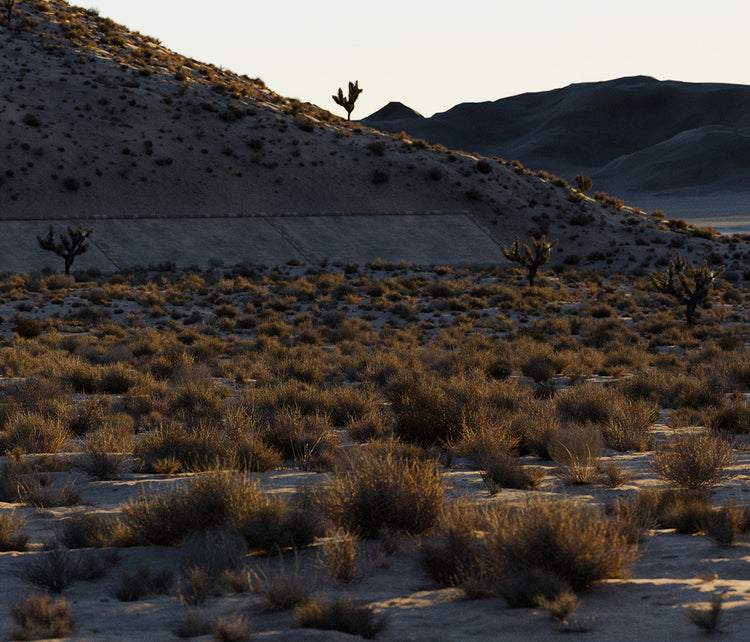 What is Project Gravitaur?